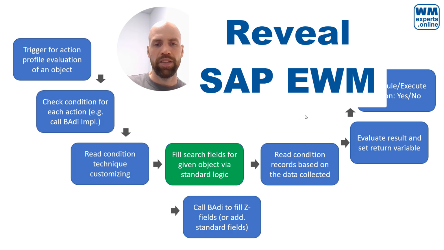 Reveal SAP EWM - Condition record determination for PPF actions